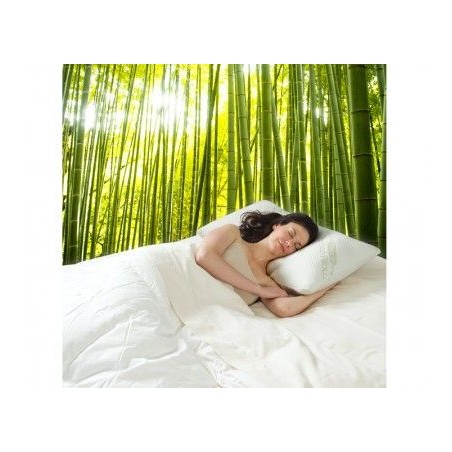 MIRACLE BAMBOO PILLOW LOT DE 2